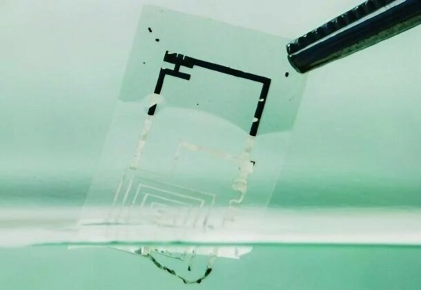 Biodegradable Electronics: The Future of Sustainable Tech Gadgets