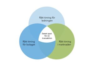 The overlooked role of timing in business success